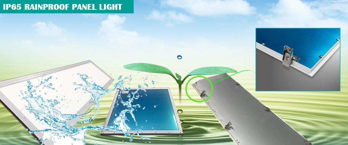 Freeled-Lights.com - Shenzhen manufacturer of IP65 Waterproof,RGB ...